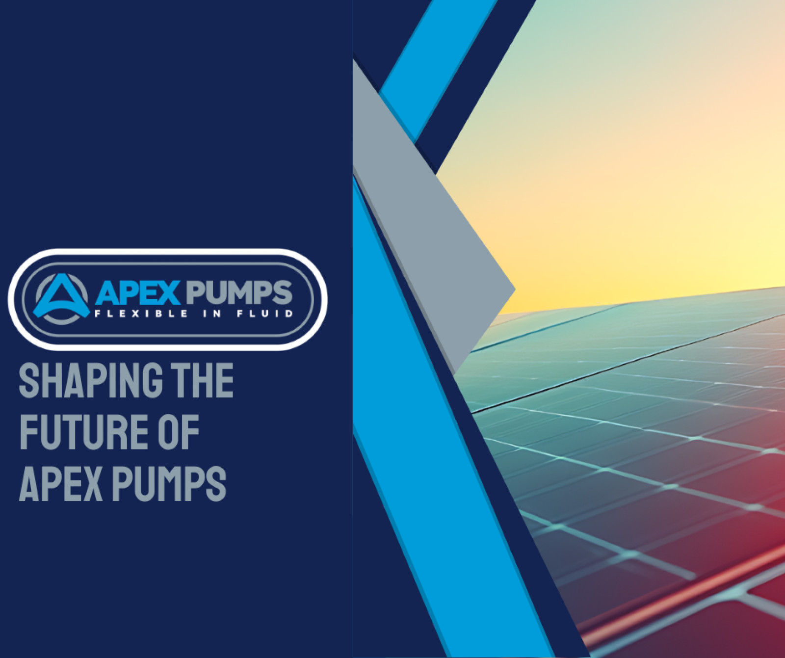 Made in the South West | Apex Pumps designing and manufacturing ...
